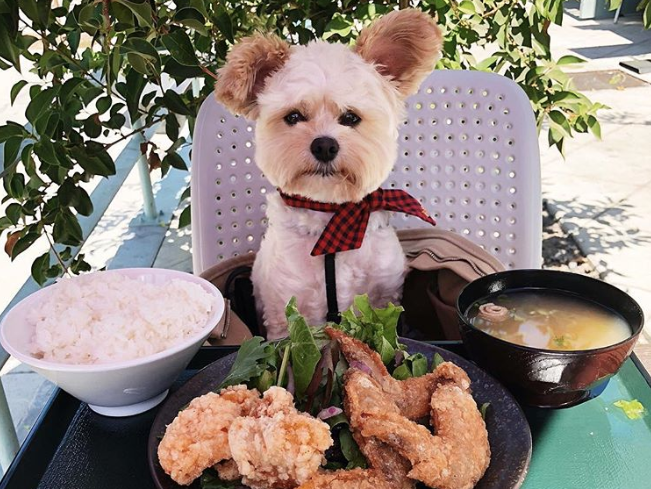 The 20 Best Feel Good Instagram Accounts | Stellar