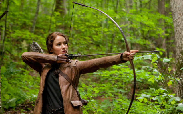 Everything You Need To Know About The Hunger Games Prequel | Stellar