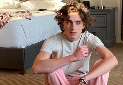 Did You Know Timothée Chalamet Was A Rapper Long Before He Turned To ...