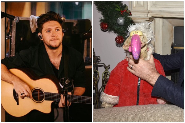 So, Angry Niall Horan Fans Are Cancelling Dustin The Turkey | Stellar