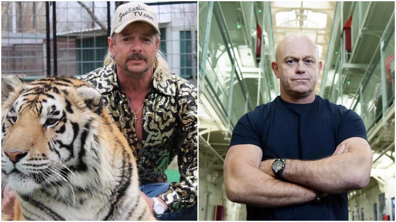 A British Tiger King Documentary Is In The Making With Ross Kemp | Stellar
