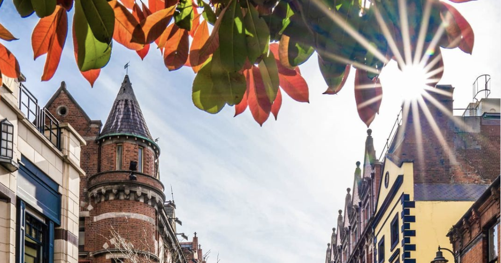 In Dublin? Here Are Six Sweet Spring Date Ideas To Enjoy! | Stellar