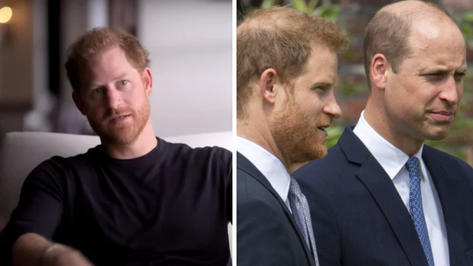 Prince Harry Claims William Attacked Him Over Fight About Meghan | Stellar