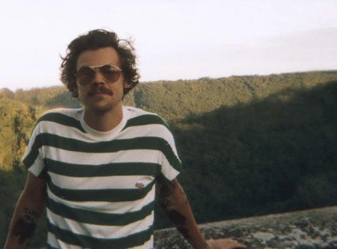 Harry Styles Shows Off Newly Shaved Head In Vegas | Stellar