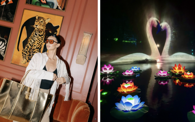 Everything Team STELLAR Is Loving This Week | Stellar